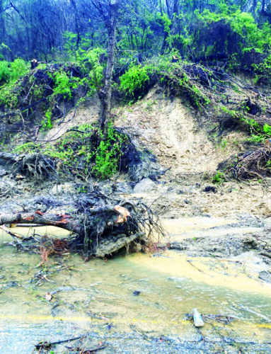State Route 39 reopened following mudslide | News, Sports, Jobs ...
